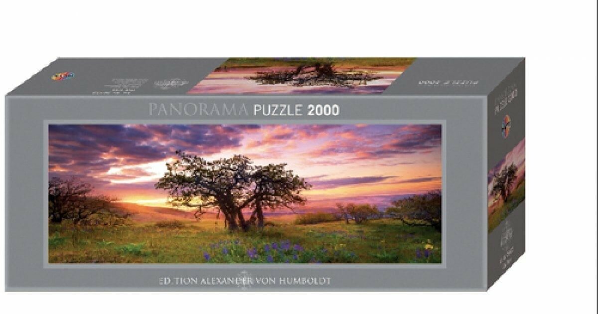 Puzzel 2000 stukjes Panorama Oak Tree | Coppens Warenhuis