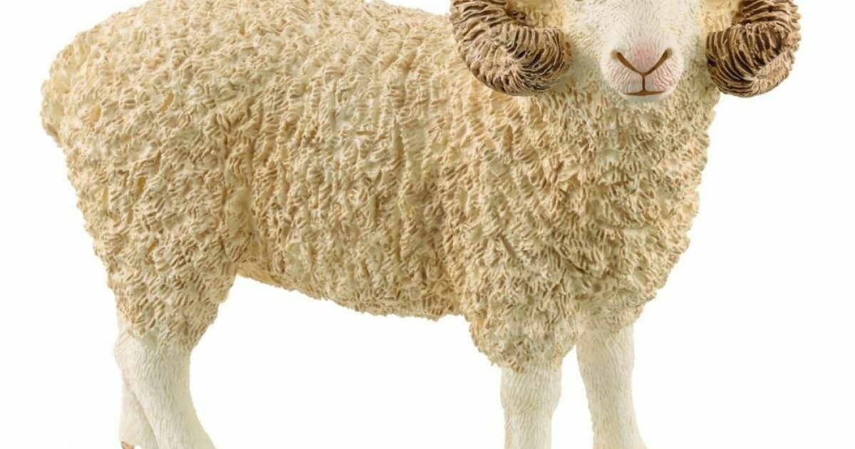 Schleich farmworld ram 13937 | Coppens Warenhuis