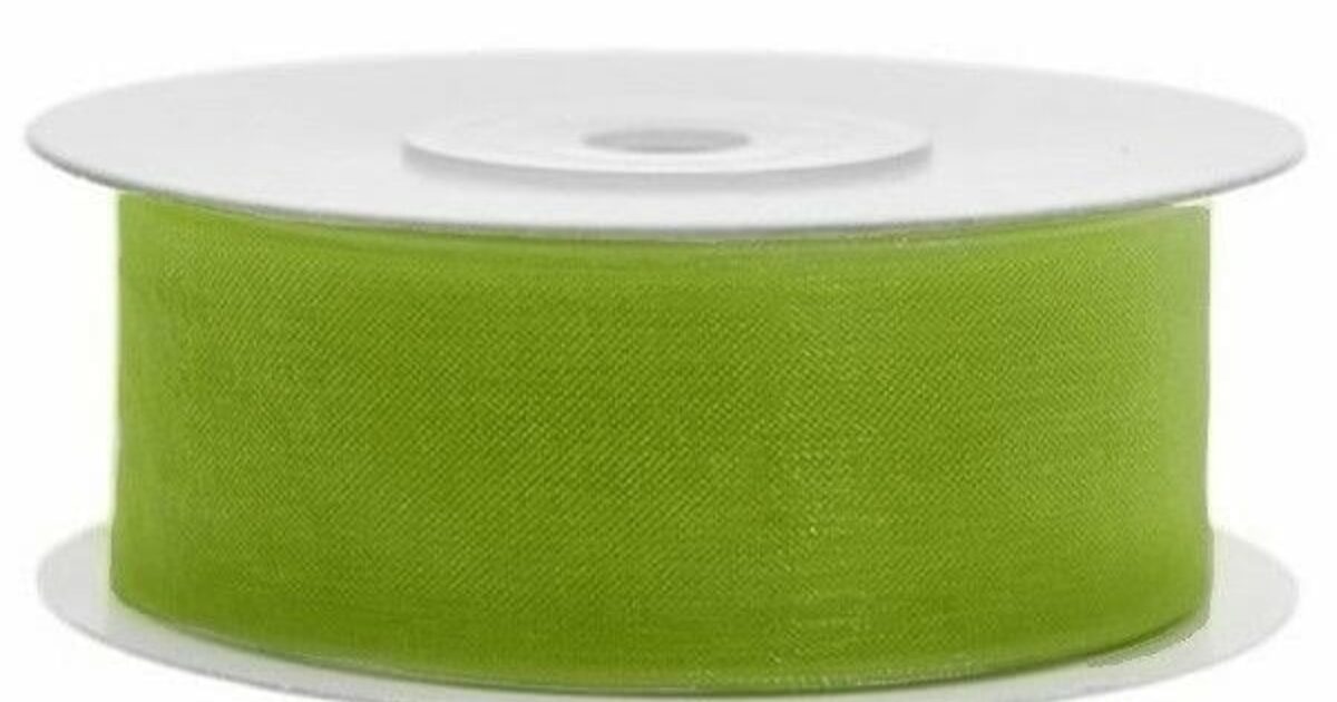 Satin Ribbon lint Mos groen | Coppens Warenhuis