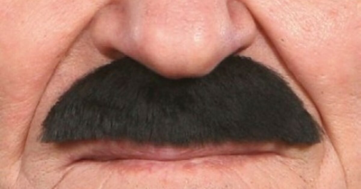 Mustache Jack black | Coppens Warenhuis