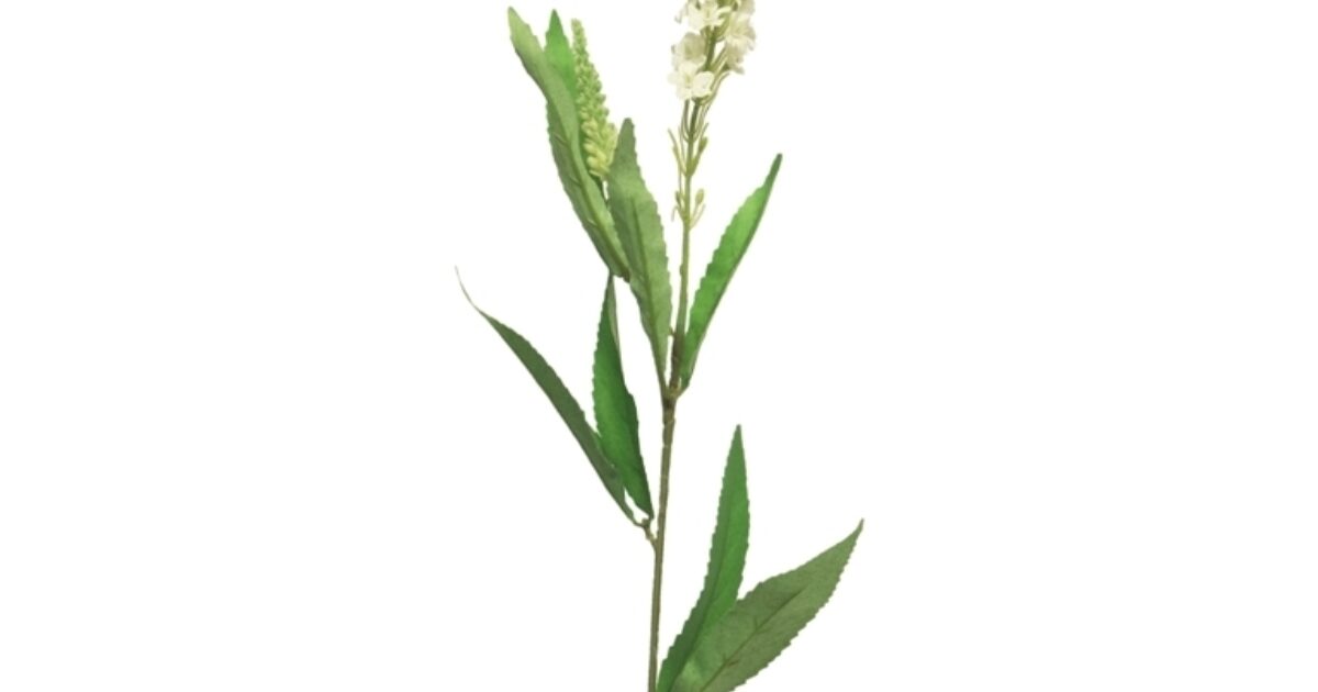 Veronica spray wit 76cm | Coppens Warenhuis