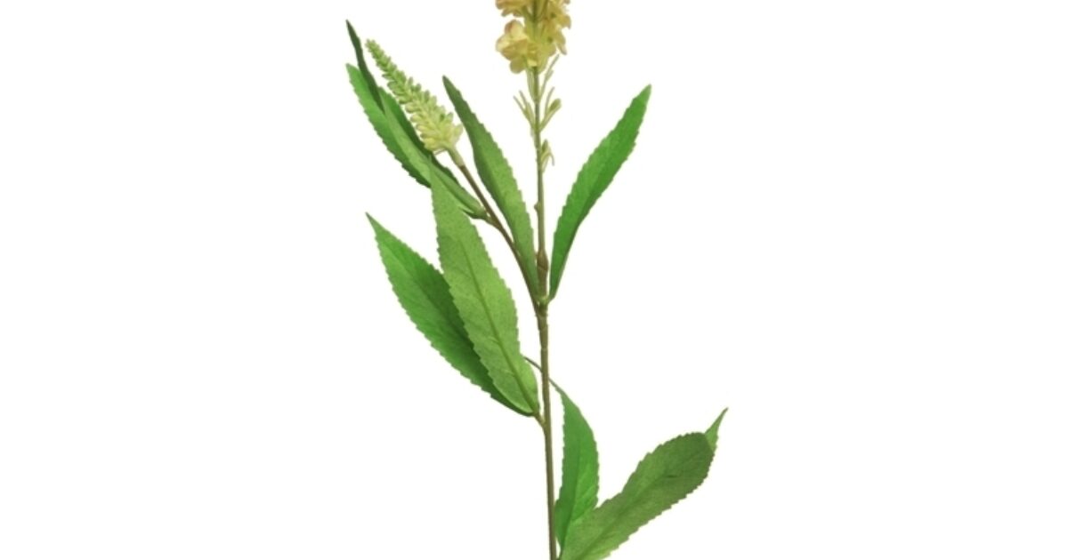 Veronica spray peach 76cm | Coppens Warenhuis